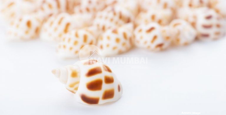 Tips for Maintaining Shankh or Conch Shell at House According to Vastu