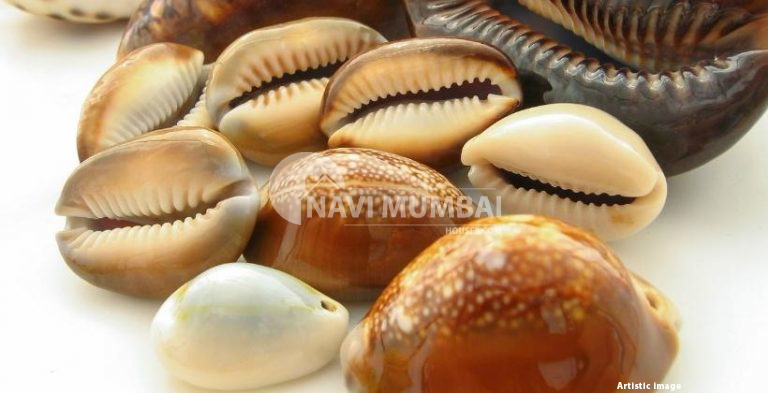 Tips for Maintaining Shankh or Conch Shell at House According to Vastu