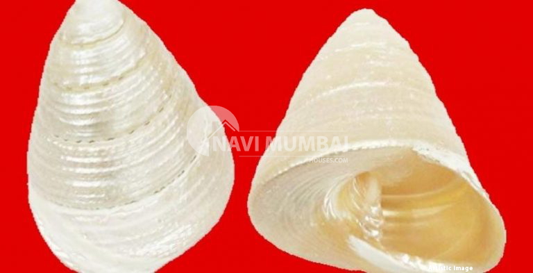 Tips for Maintaining Shankh or Conch Shell at House According to Vastu