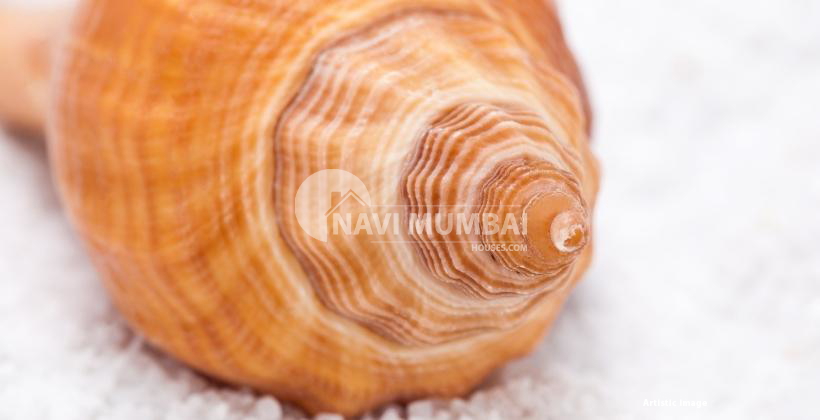 Tips for Maintaining Shankh or Conch Shell at House According to Vastu