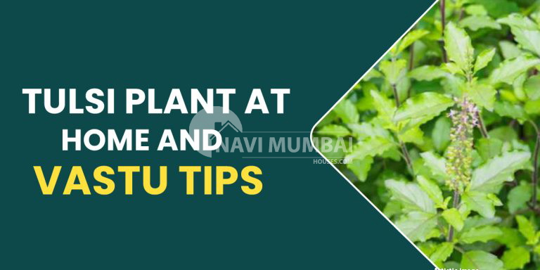Tulsi Plant for Home And its Vastu Tips