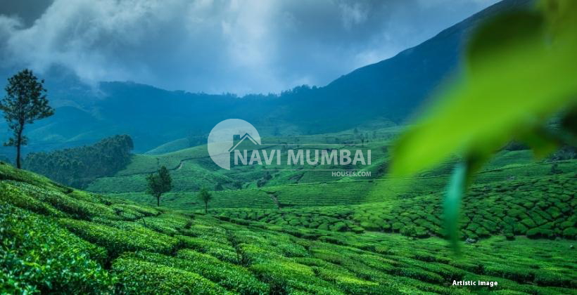 Munnar: The Greatest Tourists Spots To Visit In Munnar