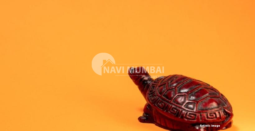 Tortoise Types : Vastu Tips : 15 Tortoise Types That Are Ideal for Home