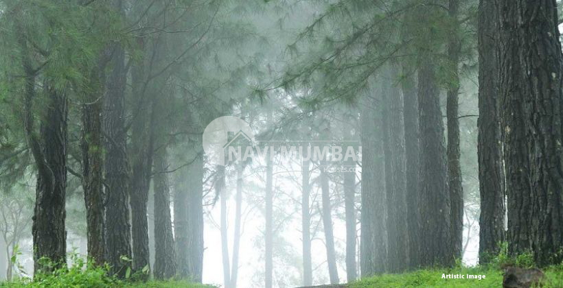 Visit In Vagamon For An Unforgettable Vacation