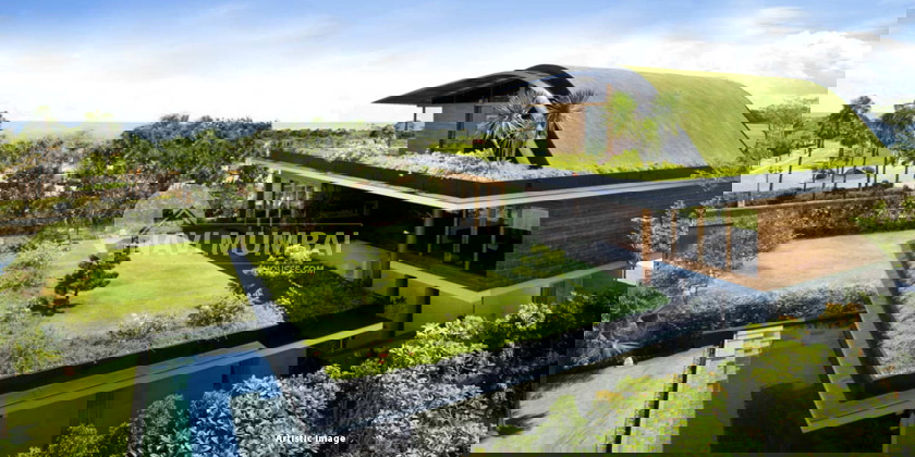 The Definitive Guide To Eco-Friendly Living