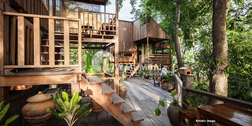 The Definitive Guide To Eco-Friendly Living