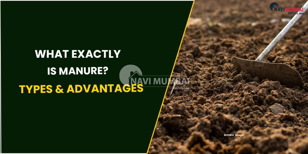 Manure: What Exactly Is Manure? Types & Advantages