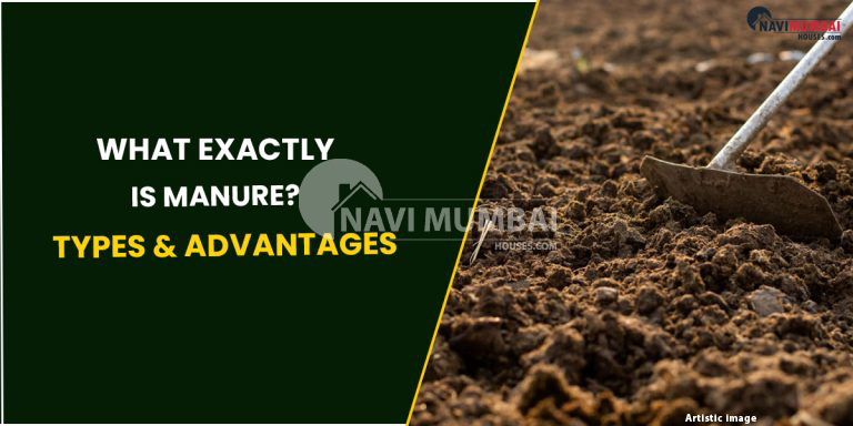 Manure: What Exactly Is Manure? Types & Advantages