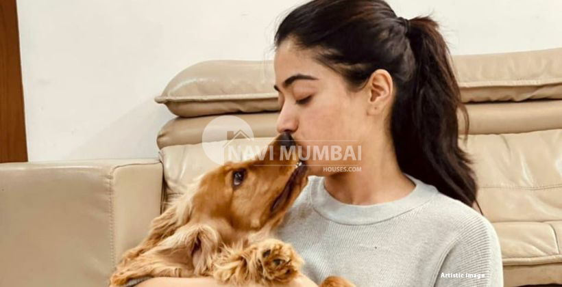 Rashmika Mandanna House Tour : From Coorg To Mumbai & Hyderabad