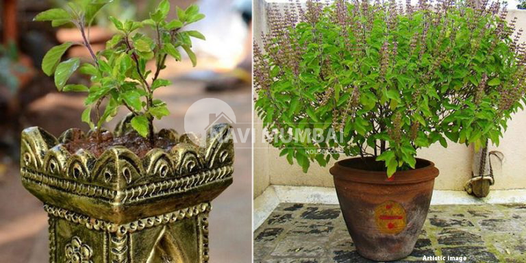 Vastu In Brahmasthan & Its Dosh Nivaran