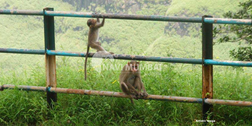 Visit beautiful sights in Matheran