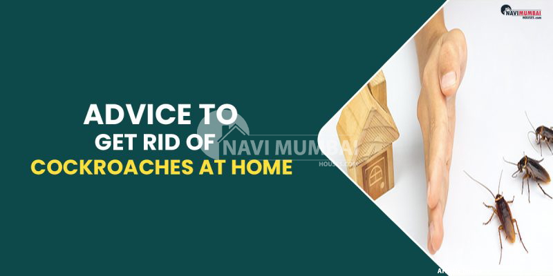 Get Rid Of Cockroaches At Home- Natural Remedies & Prevention