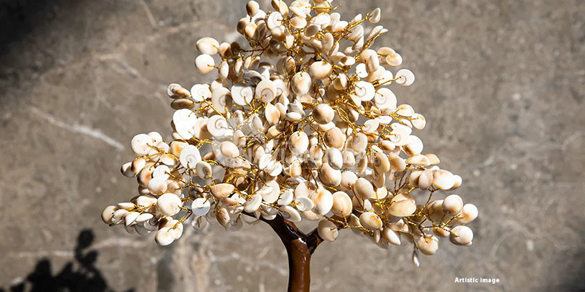 10 Vastu-Based Gifts for House to Attract Good Fortune & Positive Energy