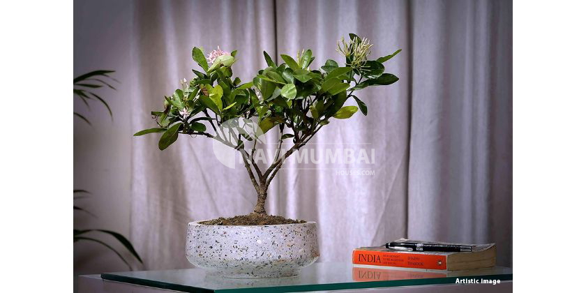 Natural Stone in Interior Design