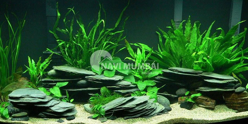 Ideas for a modern fish tank to improve mood