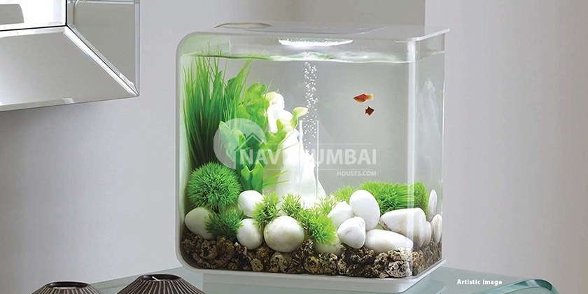 Ideas for a modern fish tank to improve mood