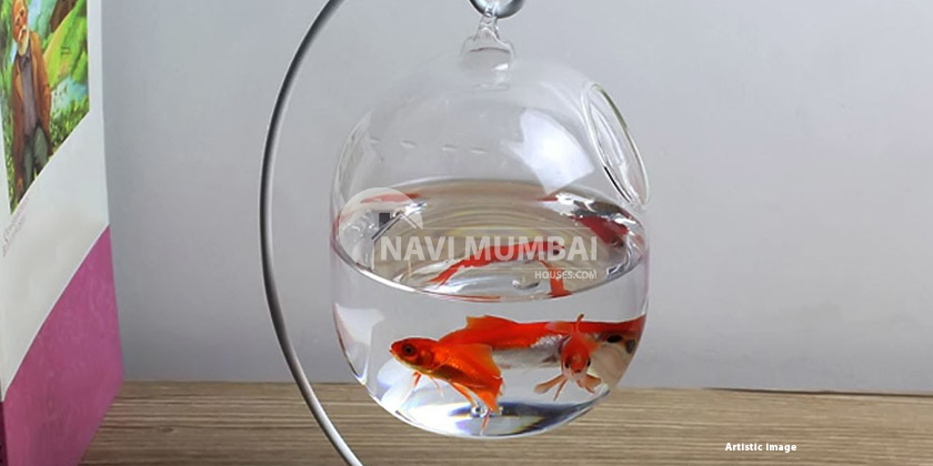Ideas for a modern fish tank to improve mood