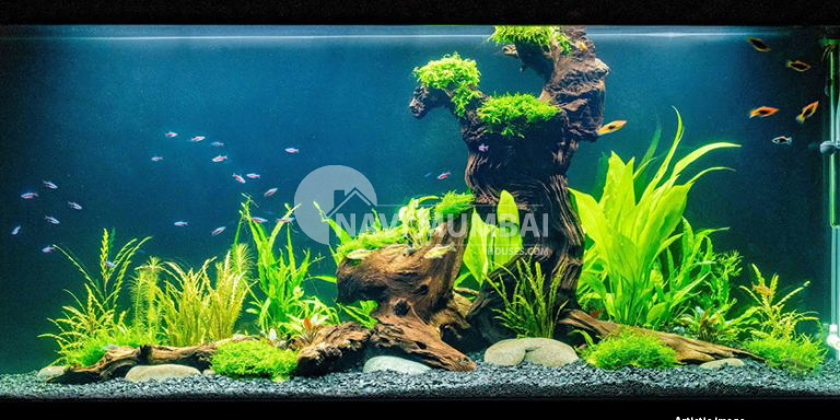 Ideas for a modern fish tank to improve mood