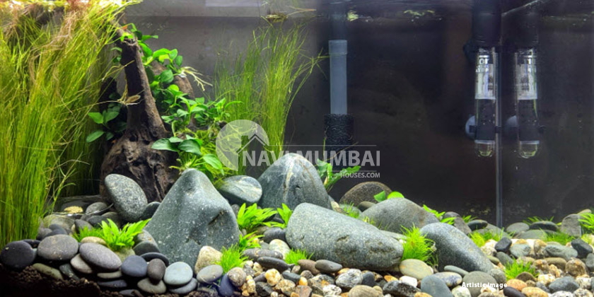 Ideas for a modern fish tank to improve mood