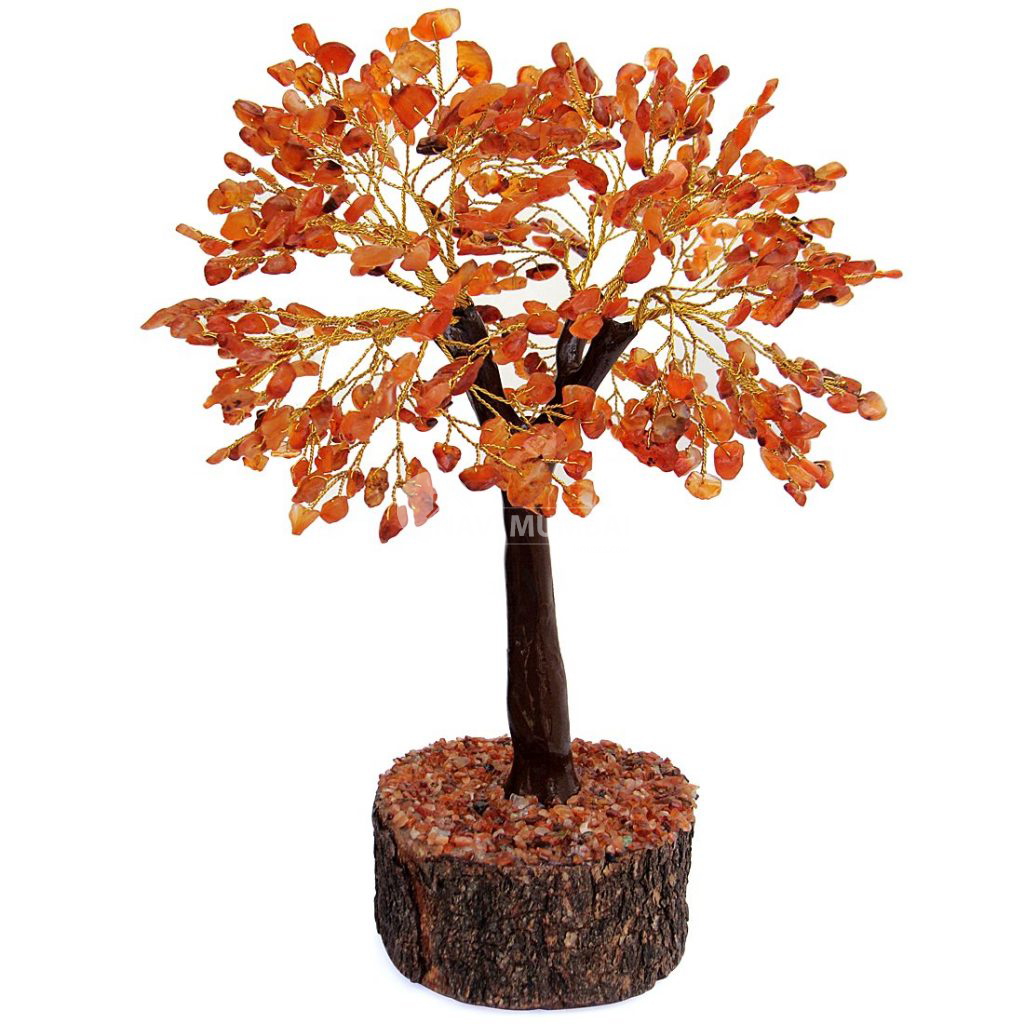 Crystal Tree Vastu :Everything You Need to Know About Crystal Tree Vastu