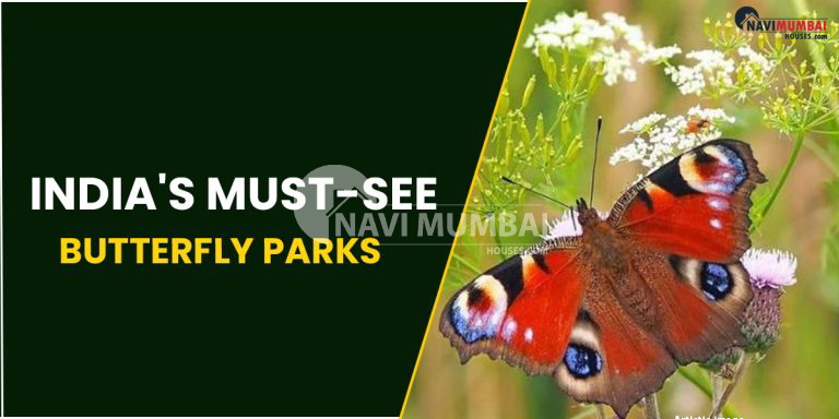 Butterfly Parks In India : India's Must-See Butterfly Parks