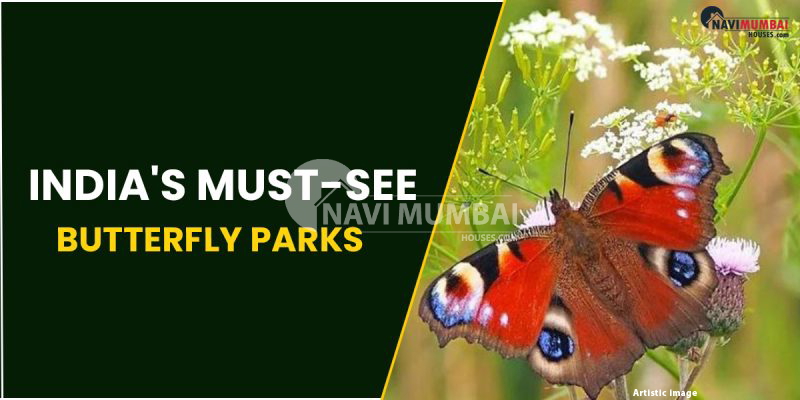 Butterfly Parks In India : India's Must-See Butterfly Parks