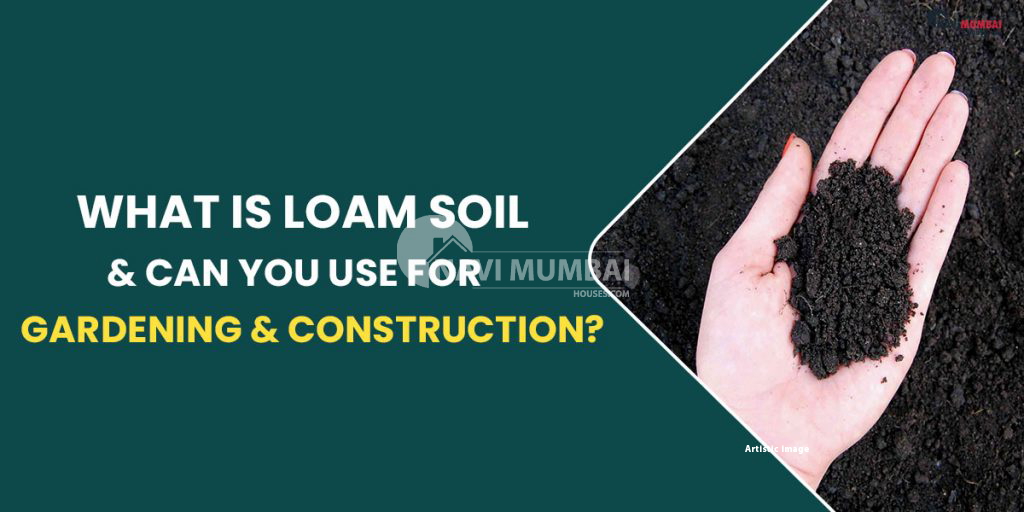 What Is Loam Soil & Can You Use It For Gardening & Construction?