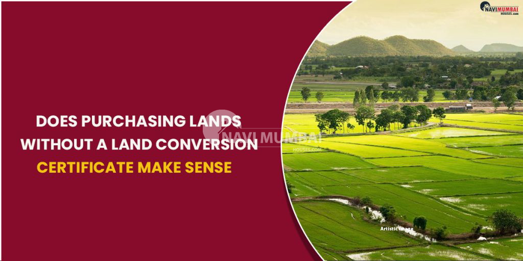 Purchasing Lands without a Land Conversion Certificate Make Sense
