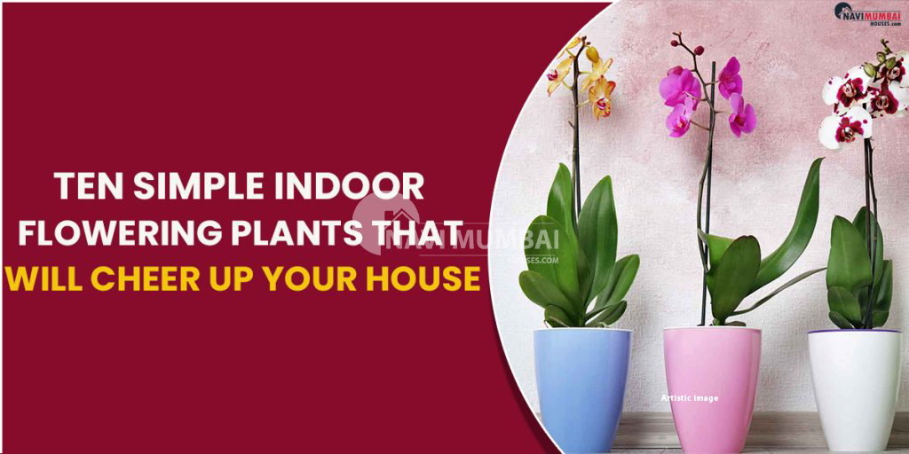 Ten Simple Indoor Flowering Plants That will Cheer up your House