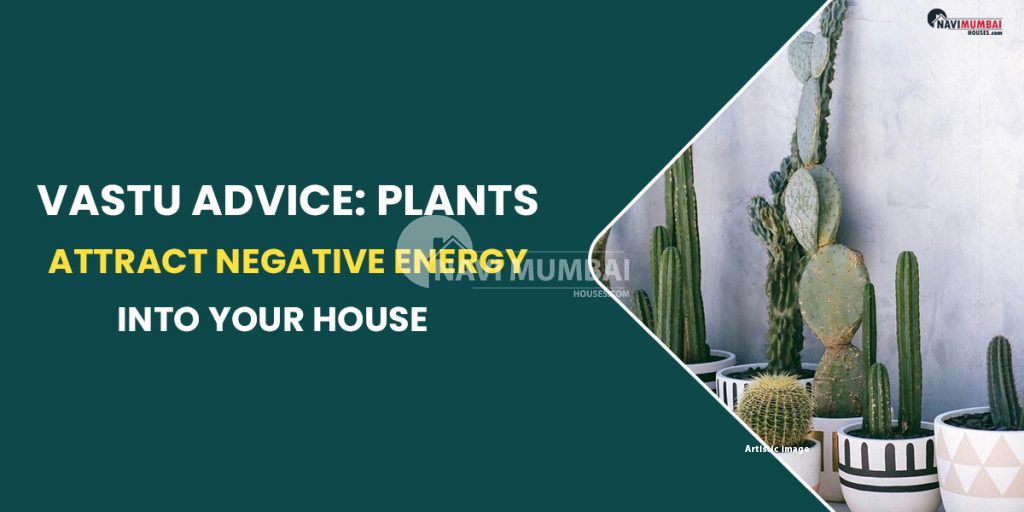 Vastu Advice: Plants That Attract Negative Energy Into Your House